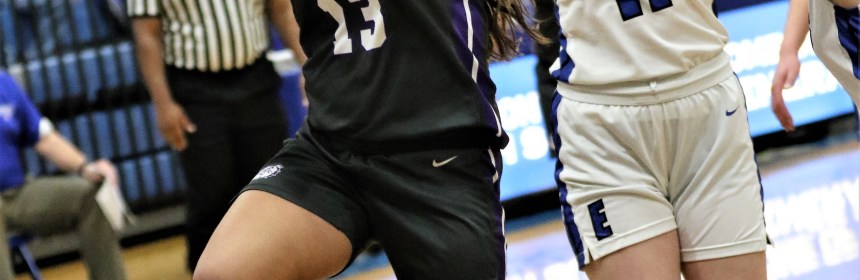 Swanton Lady Bulldogs Fall to Top-Seeded Elmwood in District Semis ...
