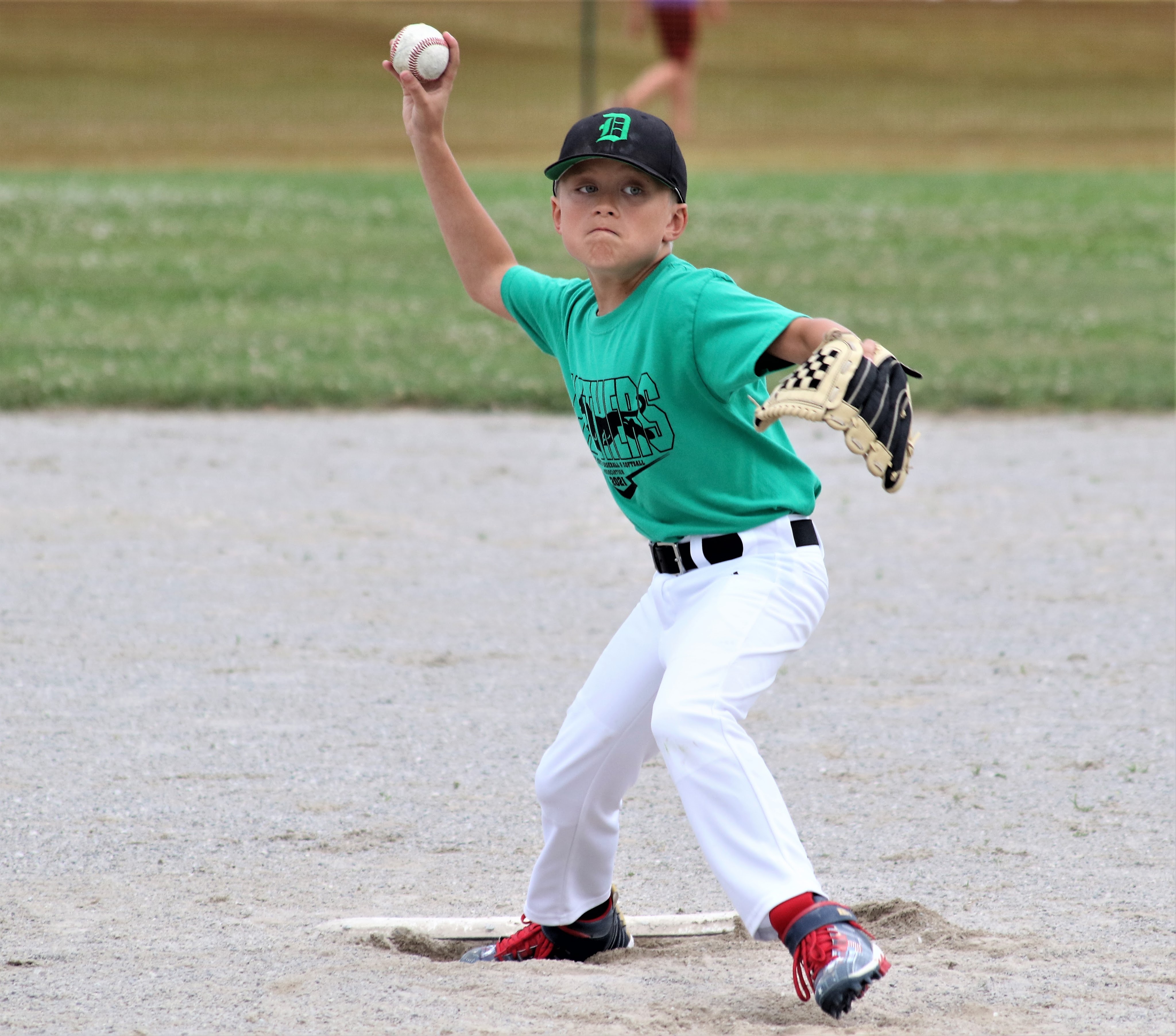 Delta Chicken Festival 2021 Photos | Fulton County Ohio Media