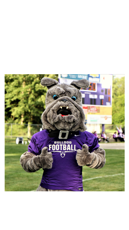 Band and Cheer Photos from Swanton vs Hicksville Football | Fulton ...